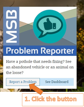 Mat-Su Borough Problem Reporter